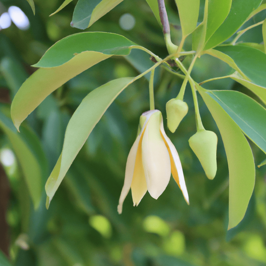 Carpus Of Beroea - Catholic Saints Day