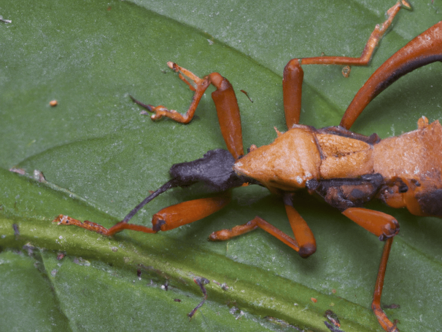 Home - Catholic Saints Day