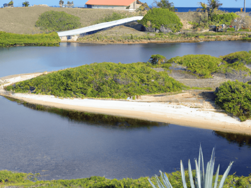 Anne-Marie Rivier - Catholic Saints Day