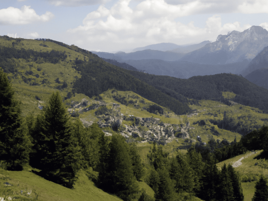 Silvia - Catholic Saints Day