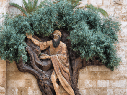 Zacchaeus Of Jerusalem - Catholic Saints Day